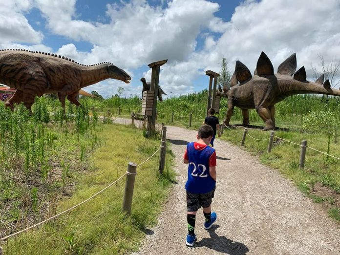 Top 20 Museums in Wichita for Kids & Families to Visit