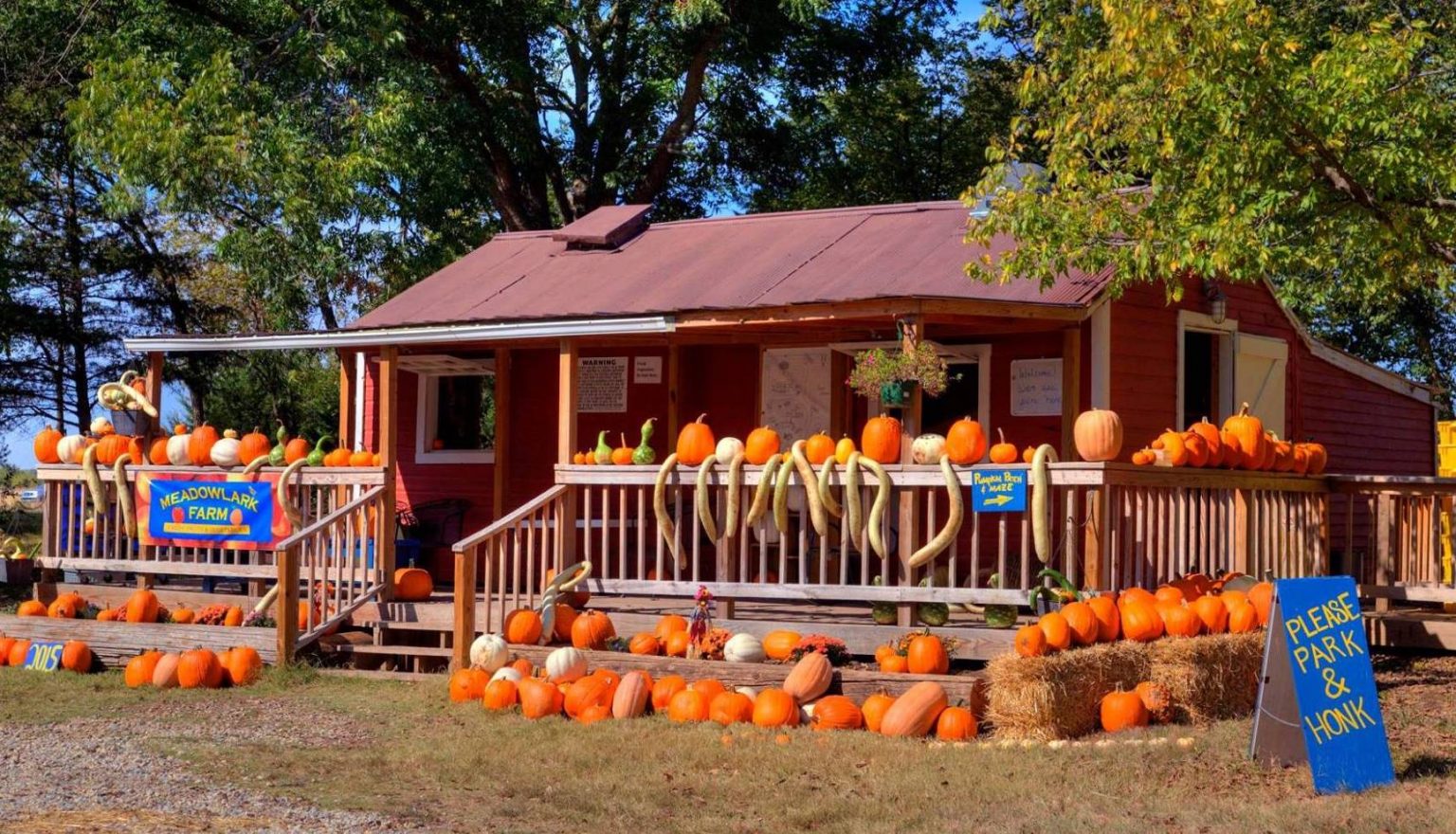 Best Pumpkin Patches in Wichita for Kids | Fall 2022