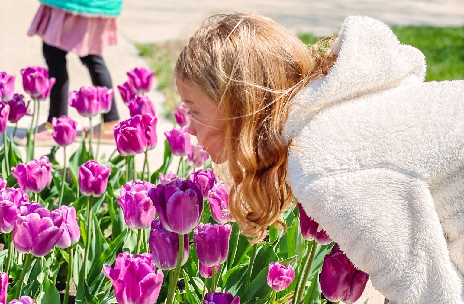 5 Best Places to Enjoy Spring Flowers in Bloom | Wichita, KS