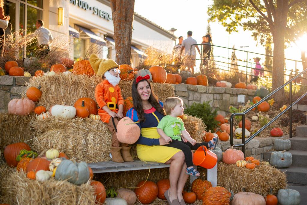 Fall Family Events at Bradley Fair